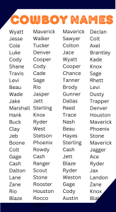 550+ Cowboy Names Cool Unique Creative Stylish & Catchy Idea