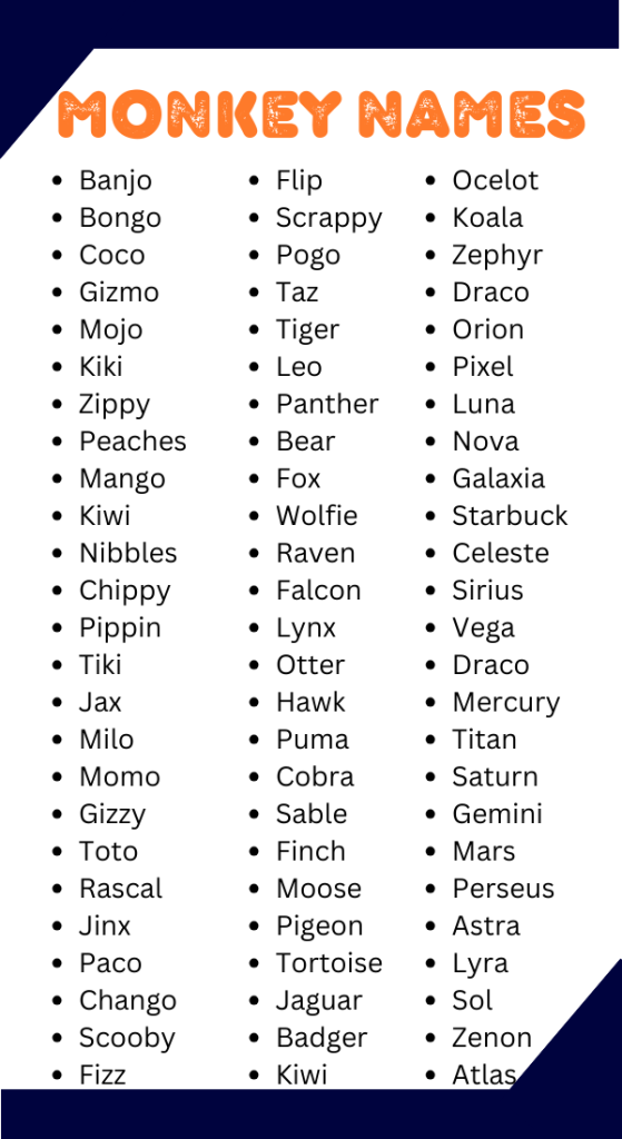 590 Monkey Names Unique Cute Funny Creative Epic Cool