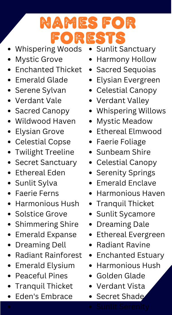 550+ Names For Forests Unique Creative Interestig & Cool