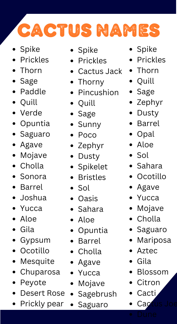 550+ Names For Cactus Stylish Creative Unique Cool & Cute