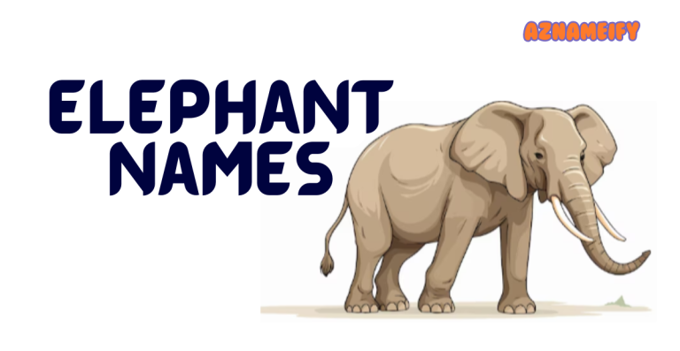 600+ Elephant Names Unique Creative Funny Cool & Cute